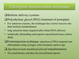 Chloroplast genome engineering | PDF