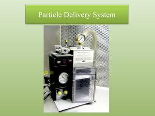 Chloroplast genome engineering | PDF