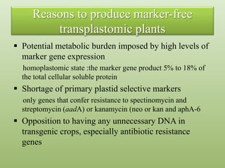 Chloroplast genome engineering | PDF