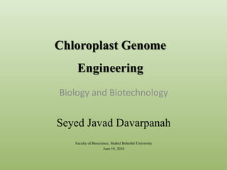 Chloroplast genome engineering | PDF