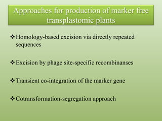 Chloroplast genome engineering | PDF