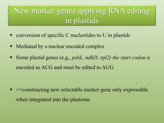 Chloroplast genome engineering | PDF