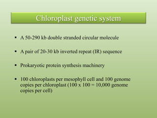 Chloroplast genome engineering | PDF