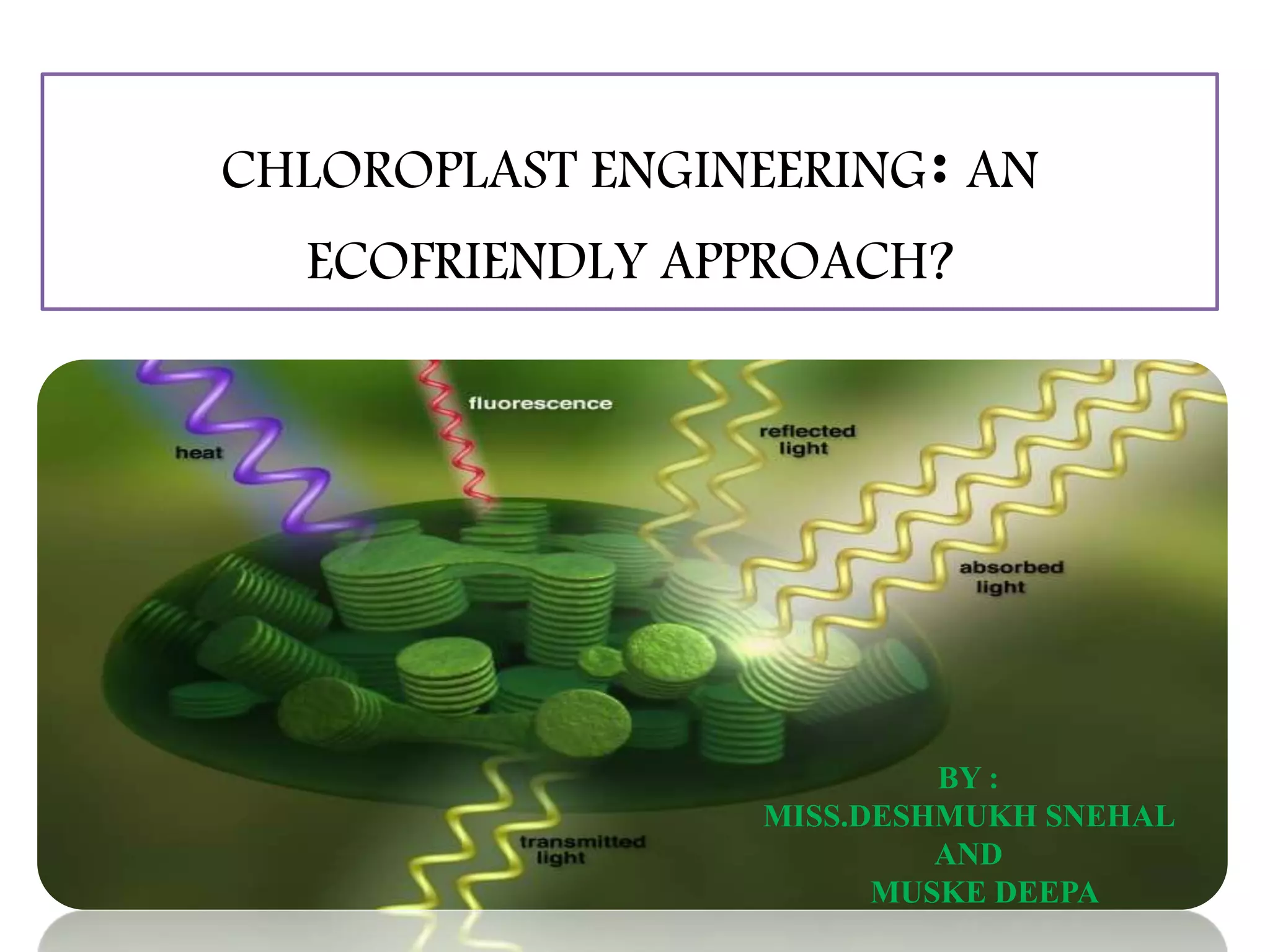 Chloroplast engineering | PPTX