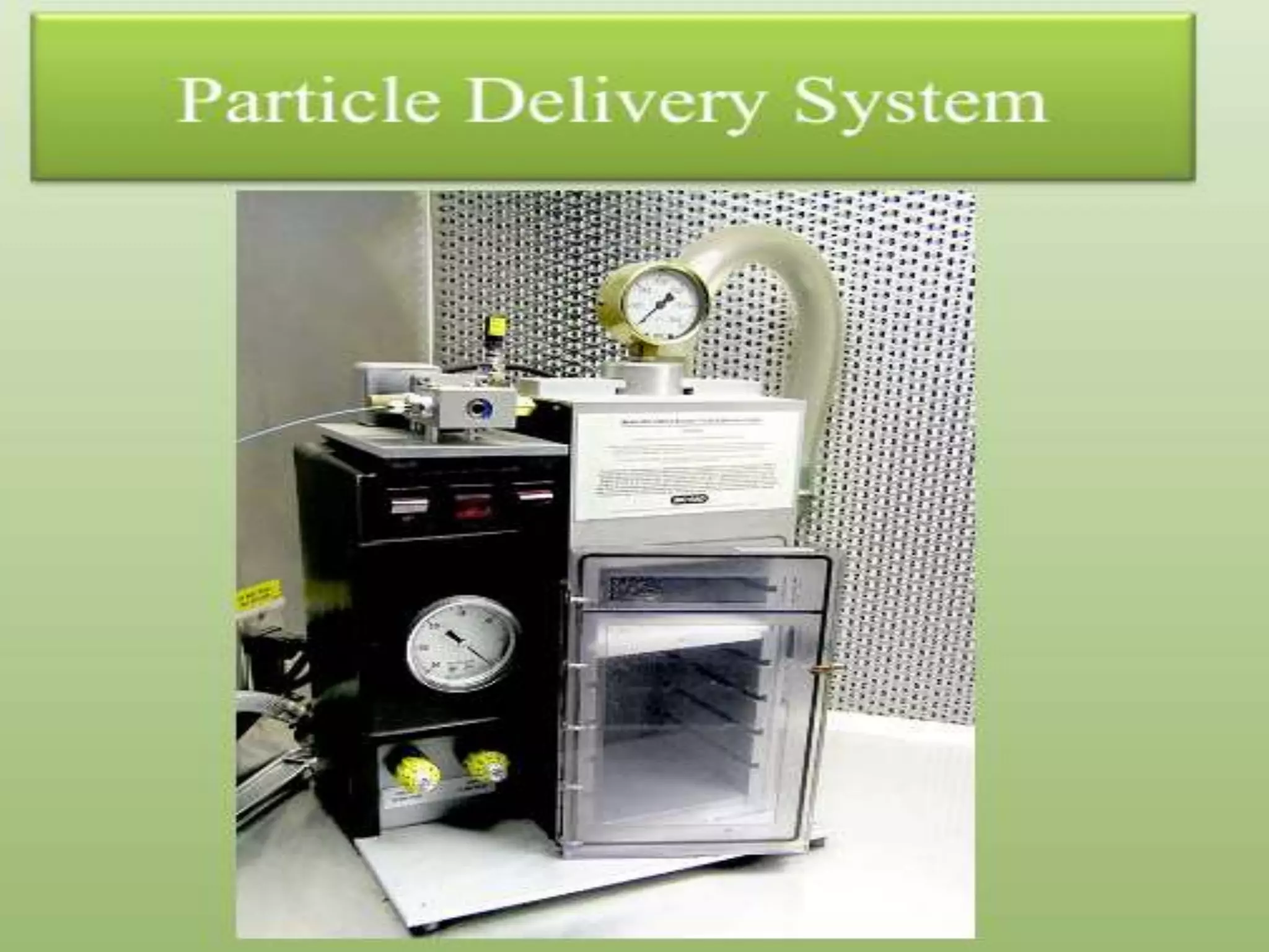 Chloroplast engineering | PPTX