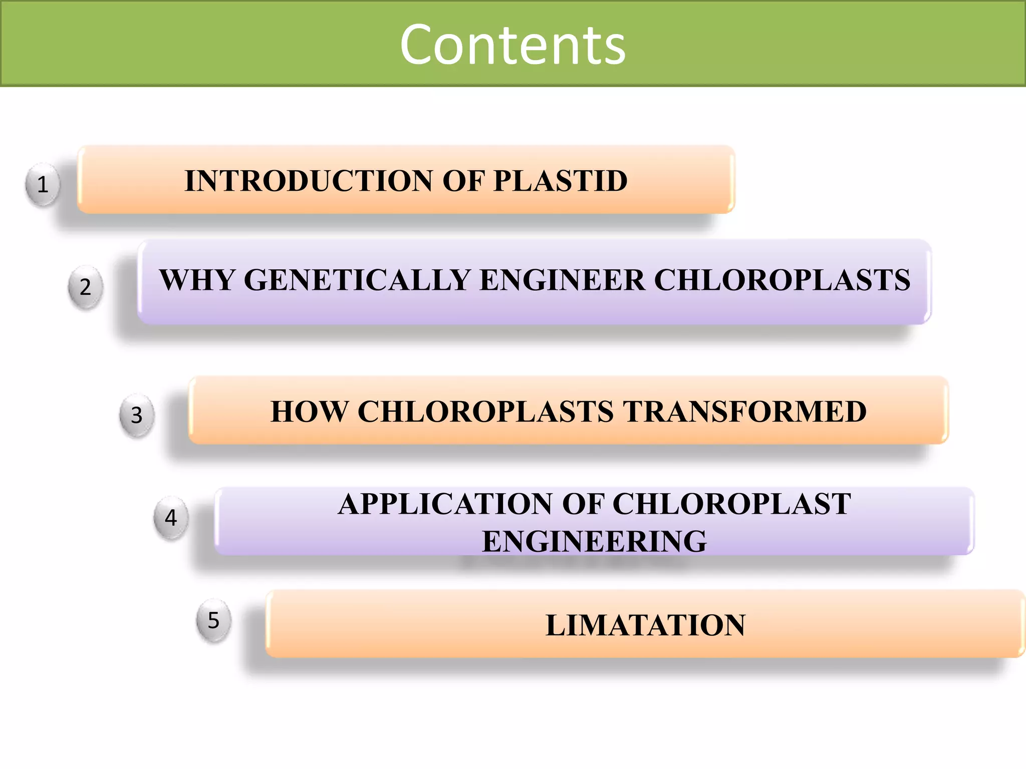 Chloroplast engineering | PPTX