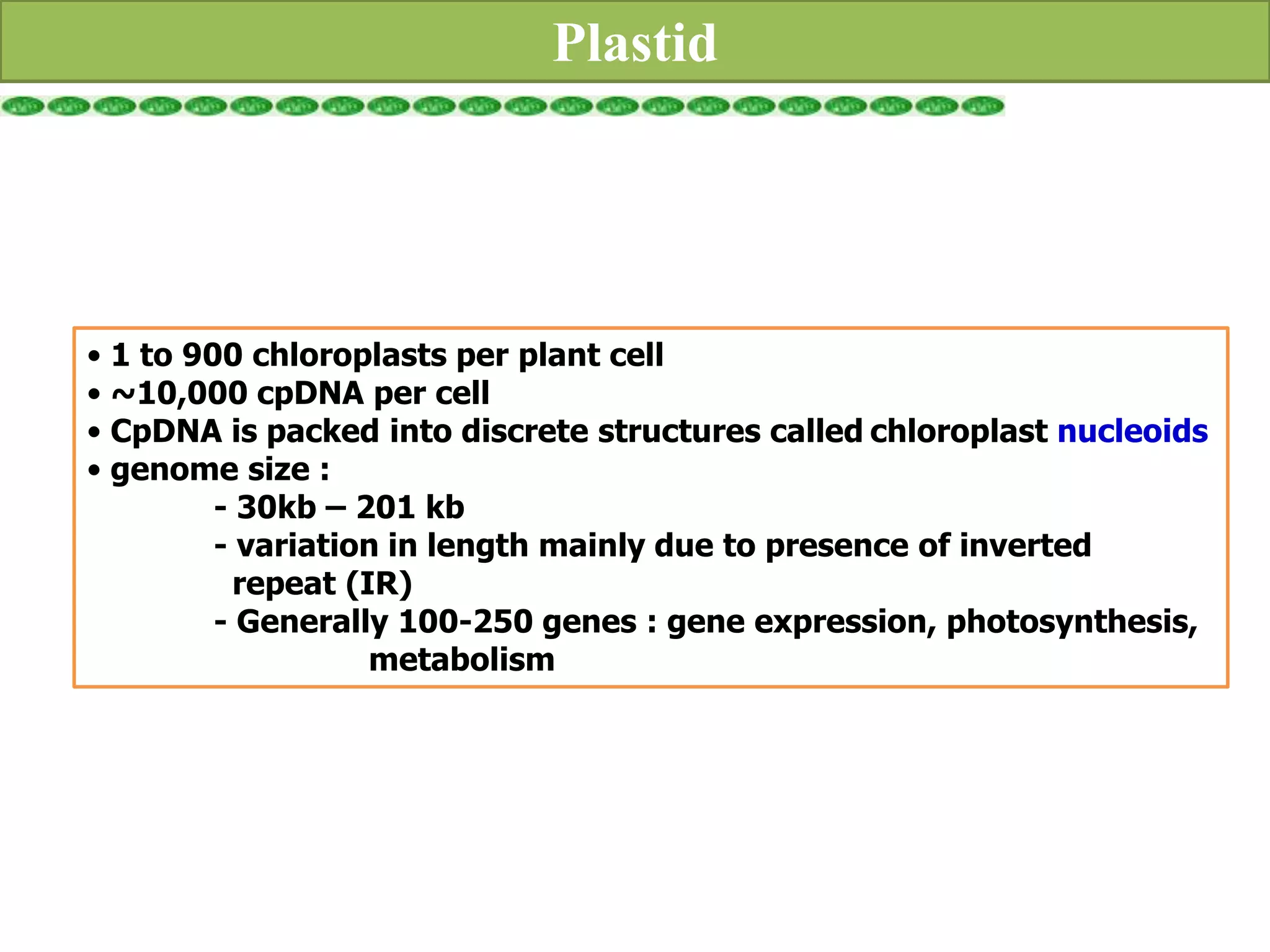 Chloroplast engineering | PPTX