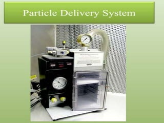 Chloroplast engineering | PPTX