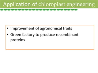 Chloroplast engineering | PPTX