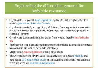 Chloroplast engineering | PPTX