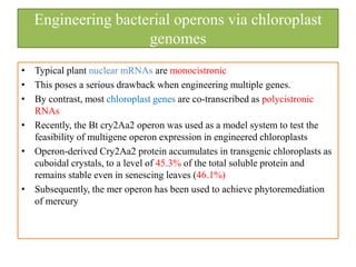 Chloroplast engineering | PPTX