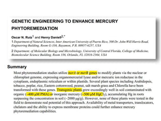 Chloroplast engineering | PPTX