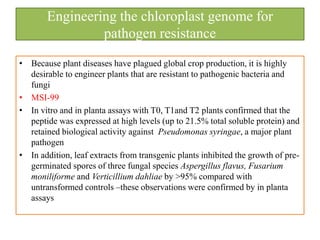 Chloroplast engineering | PPTX