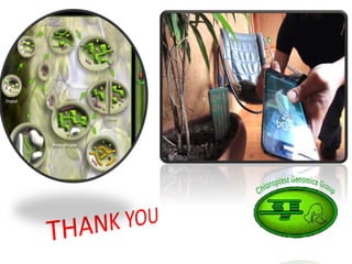 Chloroplast engineering | PPTX