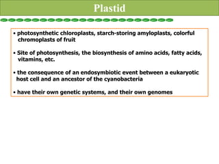 Chloroplast engineering | PPTX
