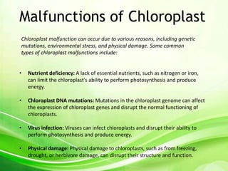 Chloroplast_Final[1] 2.pptx