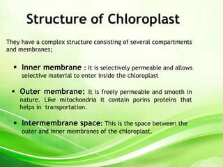 Chloroplast_Final[1] 2.pptx