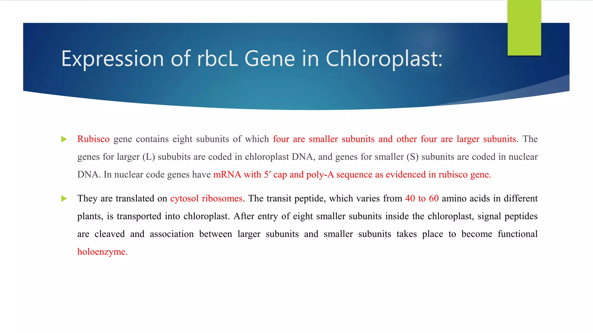Chloroplast genome organisation | PPTX