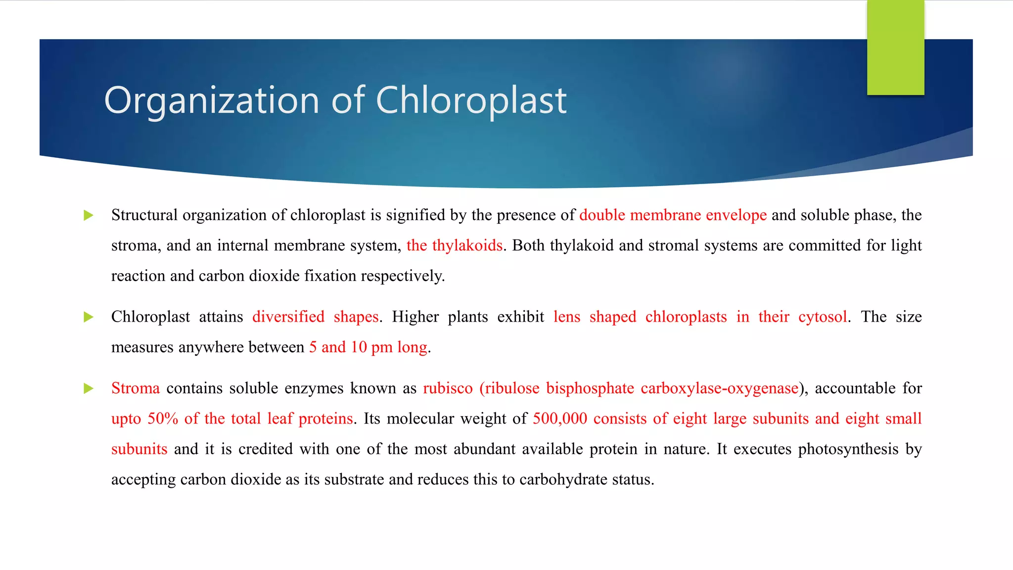 Chloroplast genome organisation | PPTX