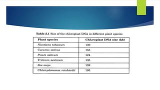 Chloroplast genome organisation | PPTX