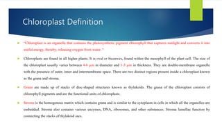 Chloroplast genome organisation | PPTX