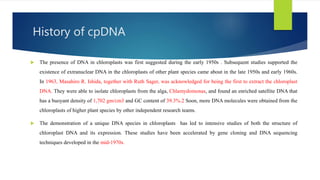 Chloroplast genome organisation | PPTX
