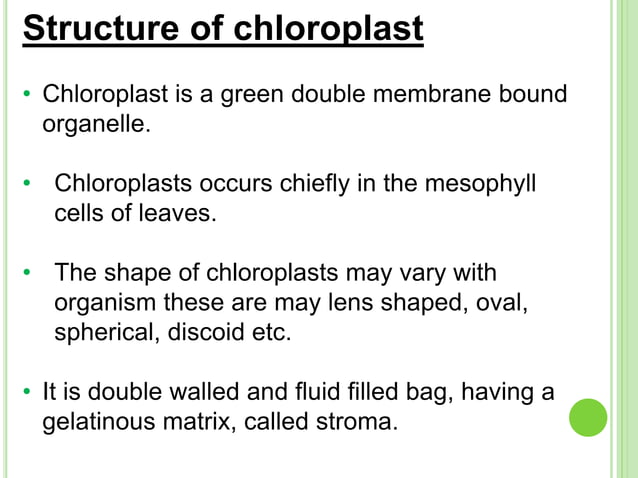 CHLOROPLAST AND CHLOROPHYLL | PPTX | Chemistry | Science