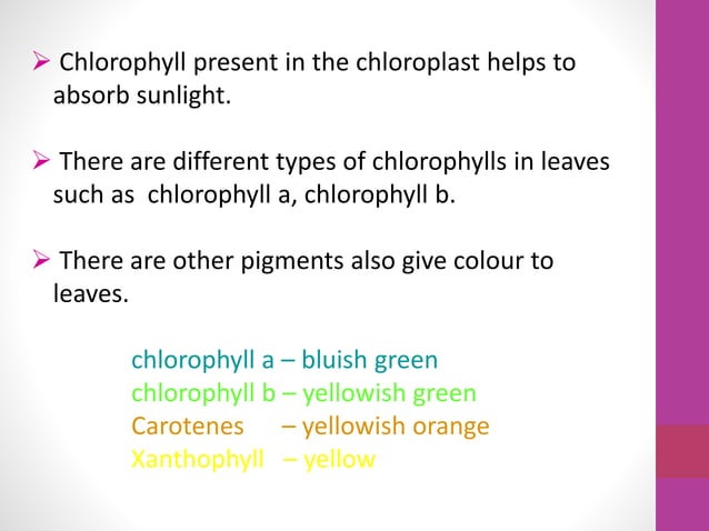 CHLOROPLAST AND CHLOROPHYLL | PPTX | Chemistry | Science