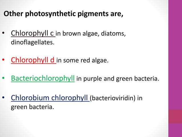 CHLOROPLAST AND CHLOROPHYLL | PPTX | Chemistry | Science