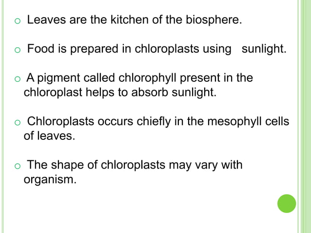 CHLOROPLAST AND CHLOROPHYLL | PPTX | Chemistry | Science