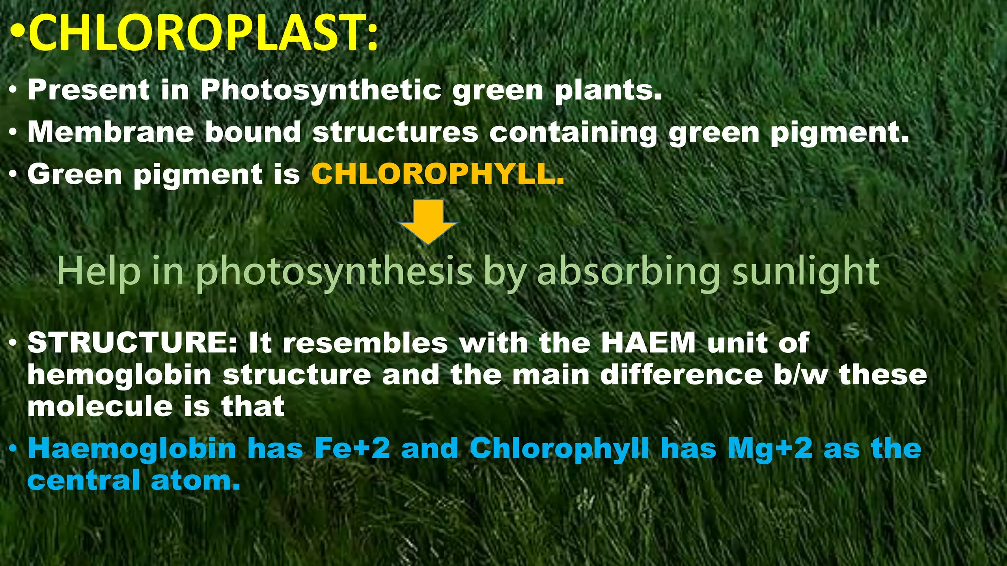 Chloroplast, nucleus, nuclear membrane | PPTX