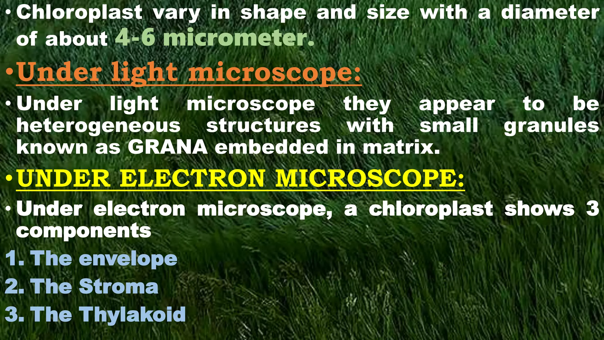Chloroplast, nucleus, nuclear membrane | PPTX
