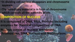 Chloroplast, nucleus, nuclear membrane | PPTX