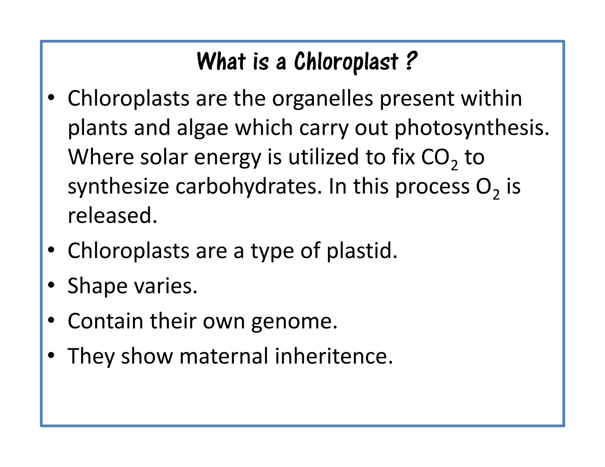 Chloroplasts | PDF