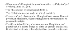 Chloroplasts.pptx