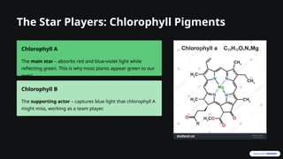 Chloroplasts-and-Pigments-Natures-Solar-Power-System.pptx