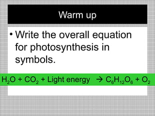 Chloroplasts and chlorophyll for Advanced Biology 9th grade | PPT ...