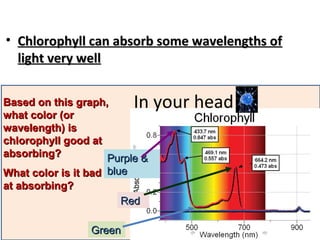 Chloroplasts and chlorophyll for Advanced Biology 9th grade | PPT