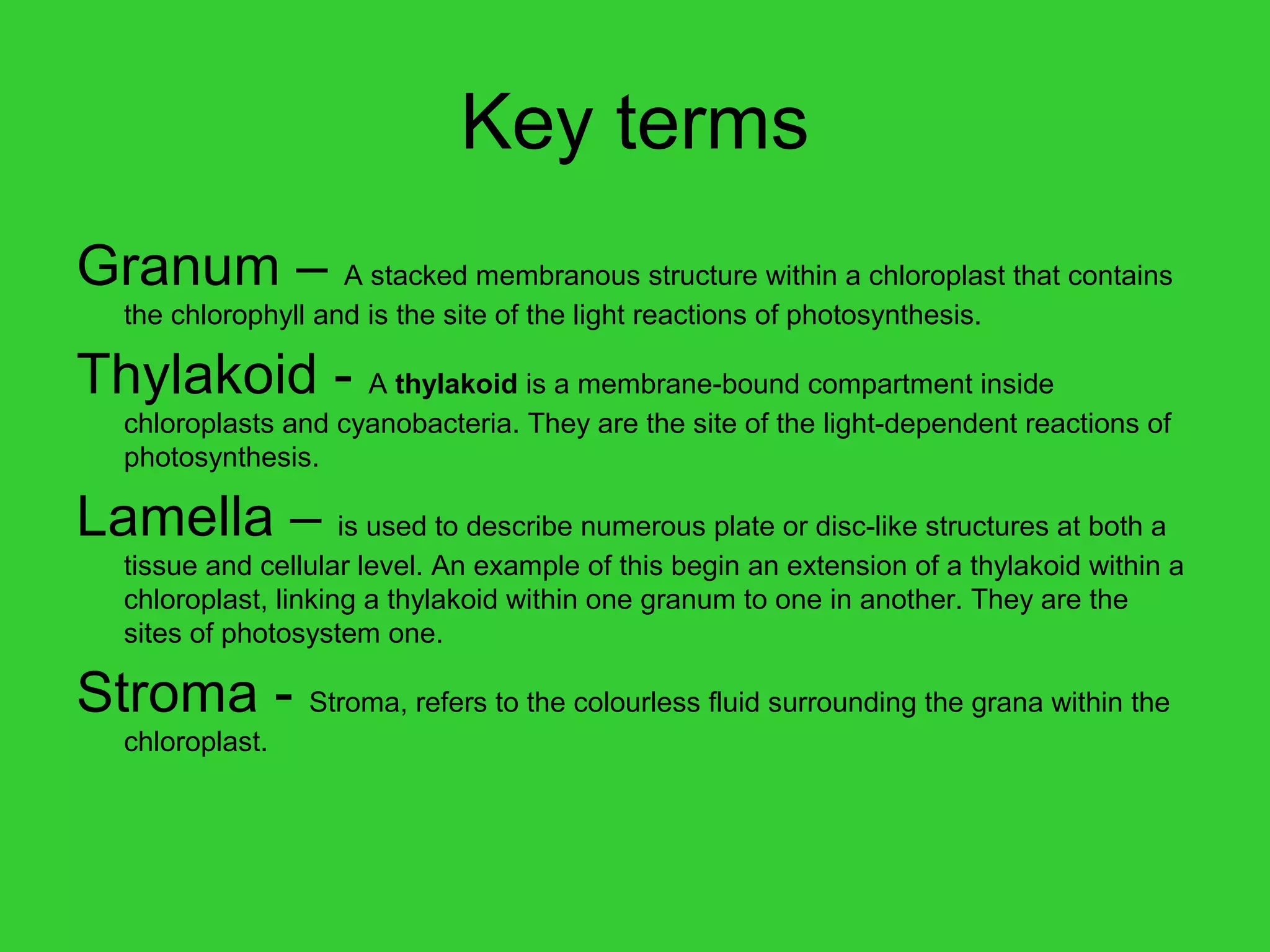 Chloroplasts pigments | PPT