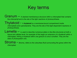 Chloroplasts pigments | PPT | Chemistry | Science