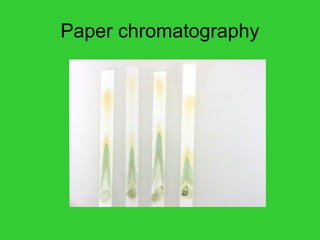 Chloroplasts pigments | PPT