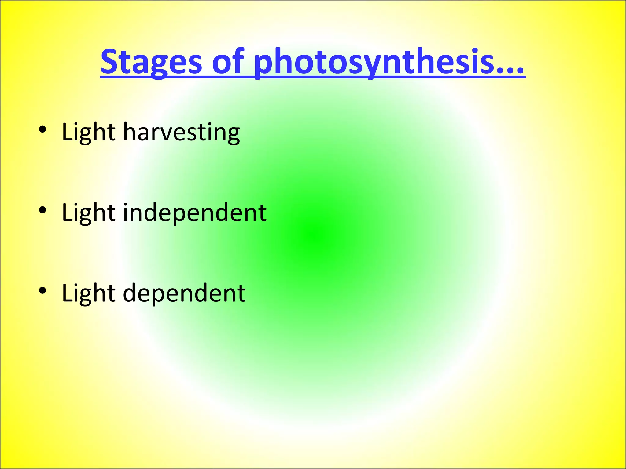 Chloroplast structure and leaf adaptations | PPT