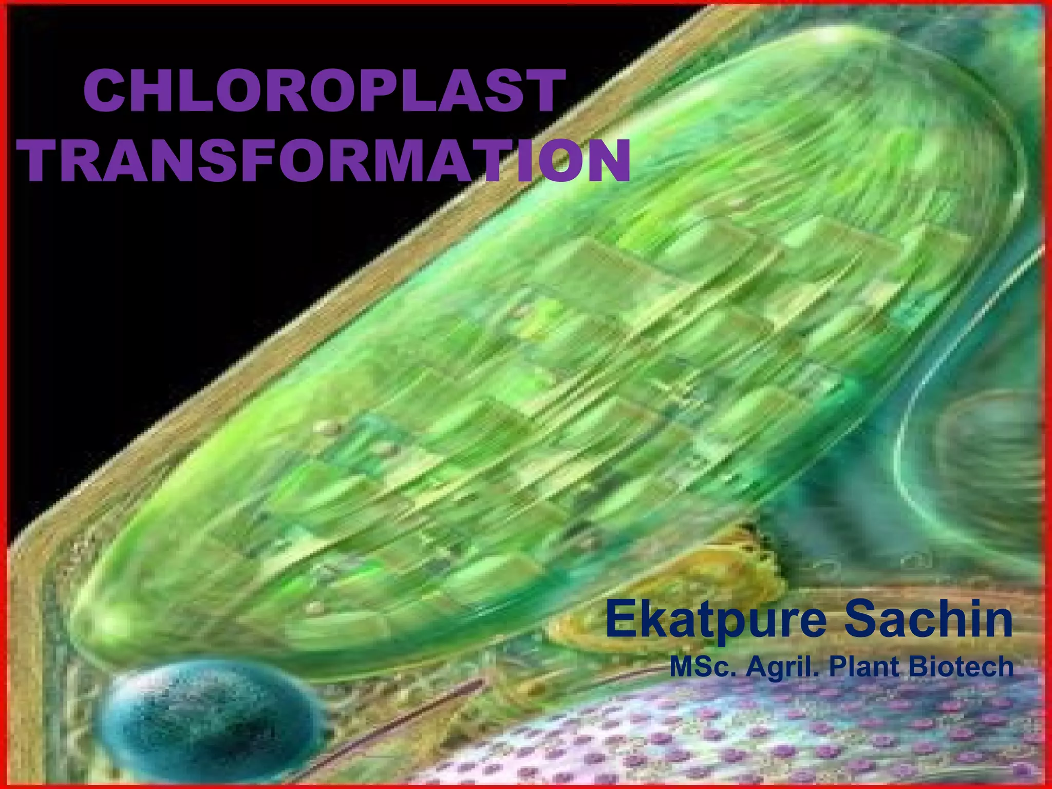 Chloroplast transformation | PPT