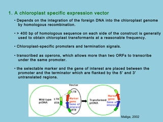 Chloroplast transformation | PPT