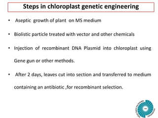 Chloroplast transformation | PPTX