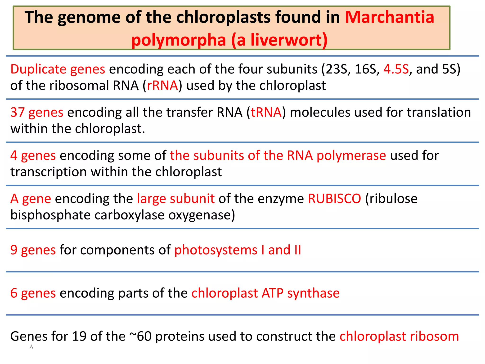 Chloroplast transformation | PDF