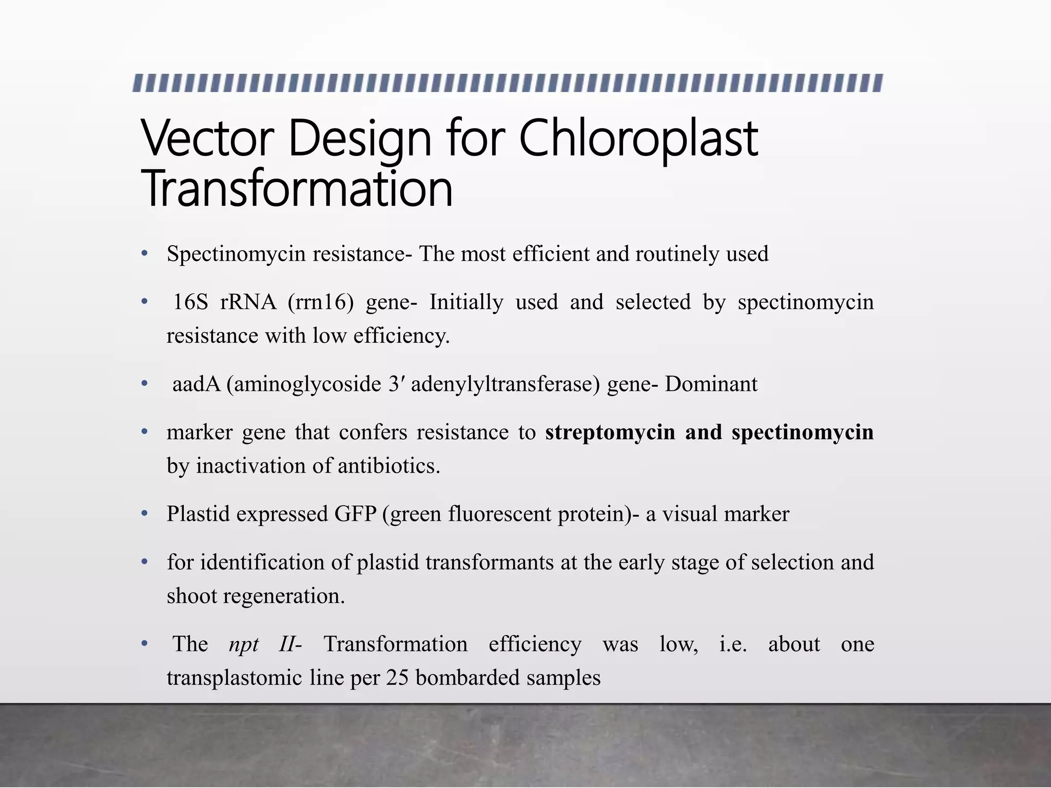 Chloroplast transformation | PPTX