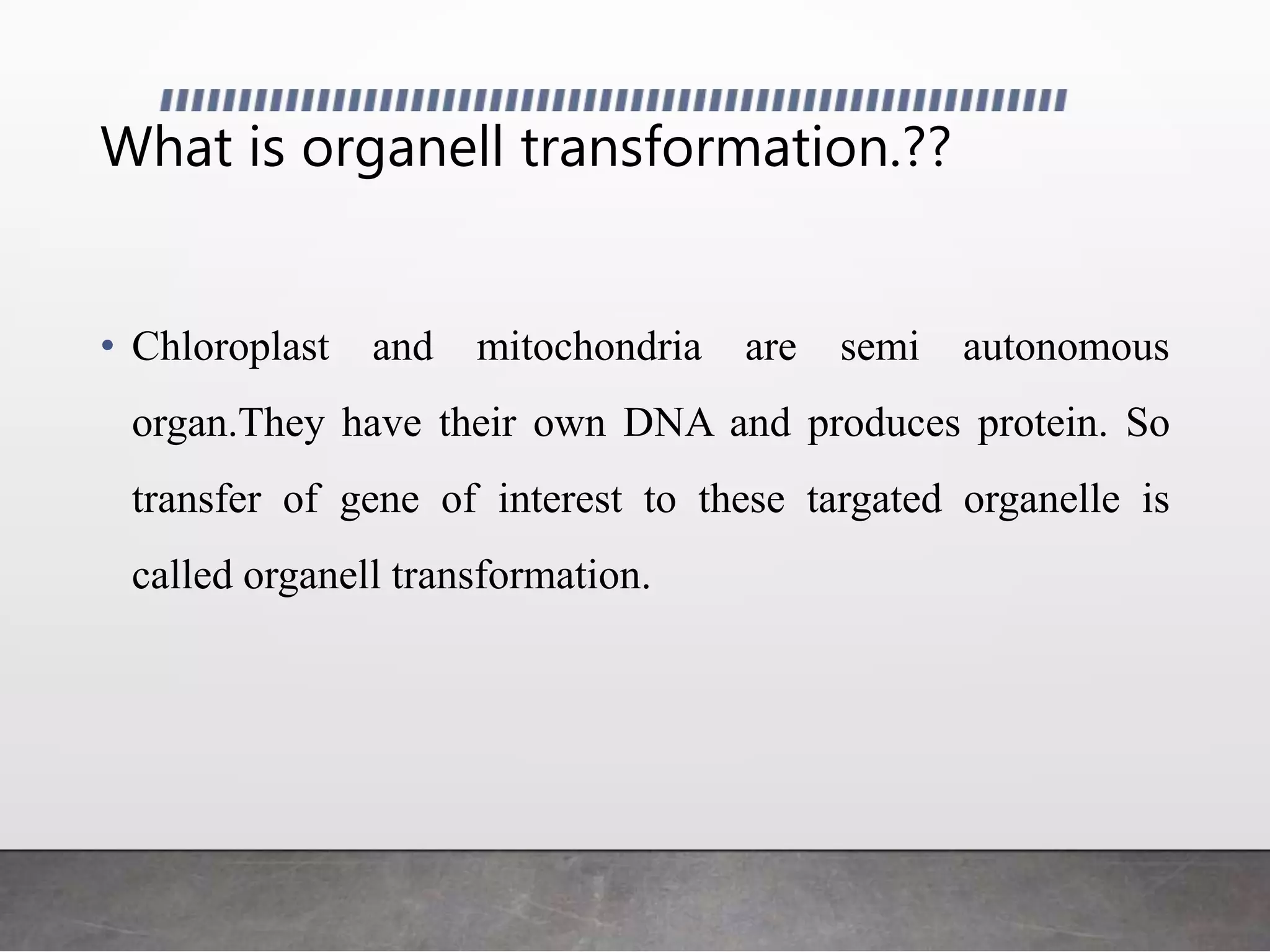 Chloroplast transformation | PPTX