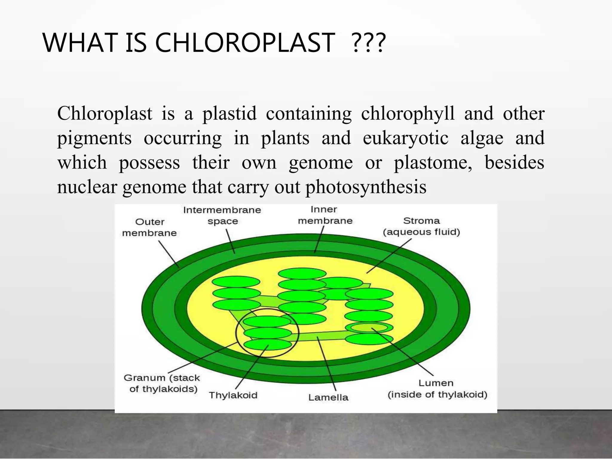 Chloroplast transformation | PPTX