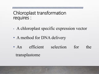 Chloroplast transformation | PPTX